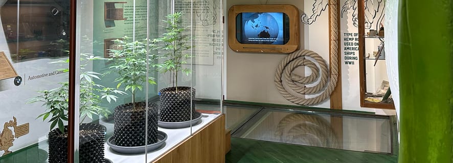 Cannabis Museum Amsterdam | Proveedor de GetYourGuide