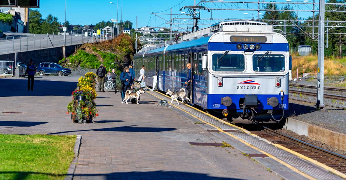 From Narvik: Round-Trip Arctic Train Ride on Ofoten Railway | GetYourGuide