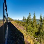 From Narvik: Round-Trip Arctic Train Ride on Ofoten Railway | GetYourGuide