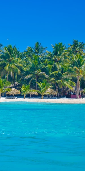 From Santo Domingo: Saona Island Day Trip w/ Lunch & Drinks | GetYourGuide