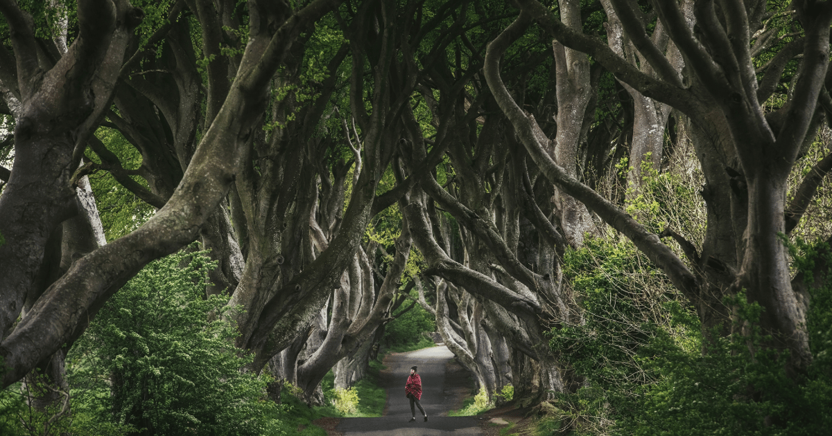 From Belfast: 3-Day Causeway Coast, Derry & Fermanagh Lakes | GetYourGuide