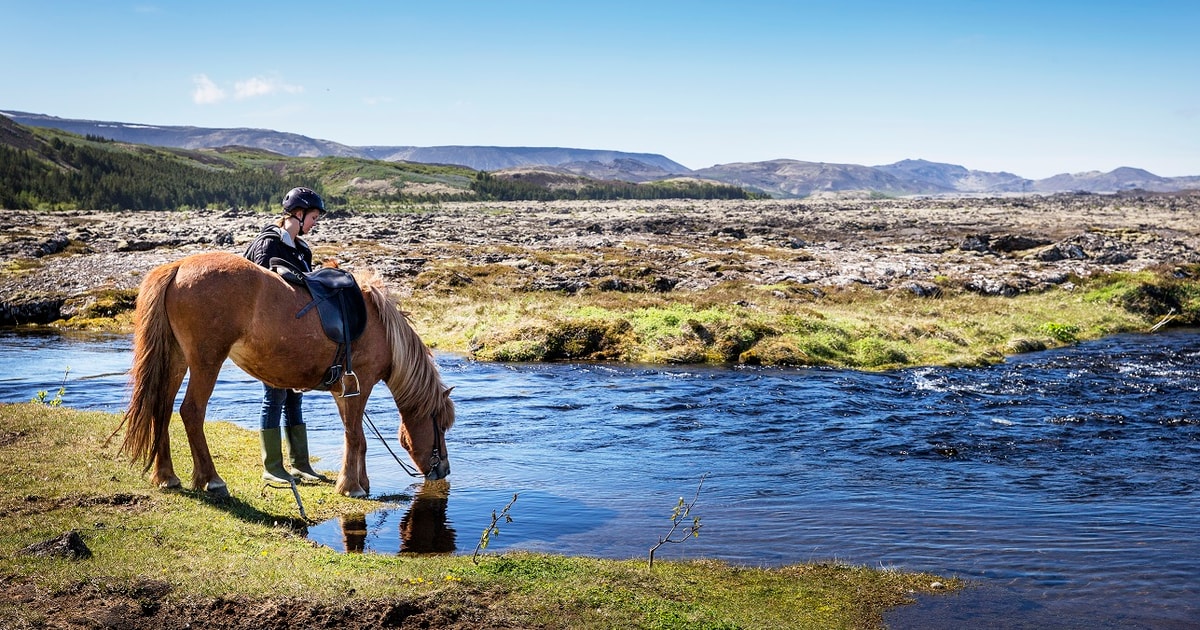 Hafnarfjörður: Horseback Riding Tour in Reykjavik Area | GetYourGuide