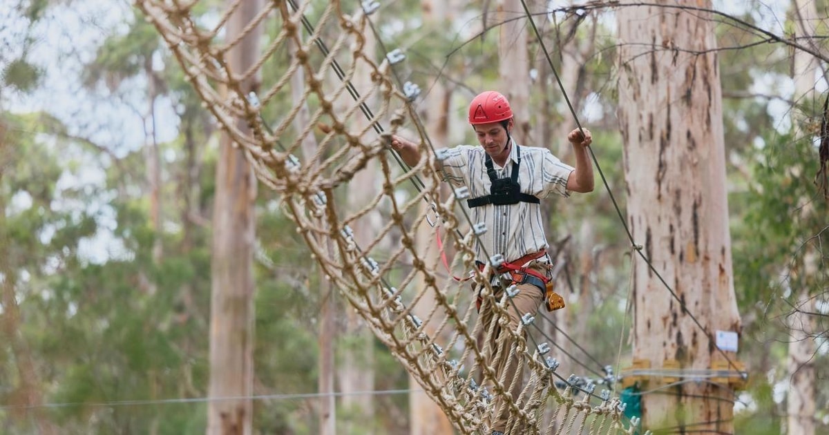 Pemberton: 2.5h Ultimate Ziplines & High Ropes Experience | GetYourGuide