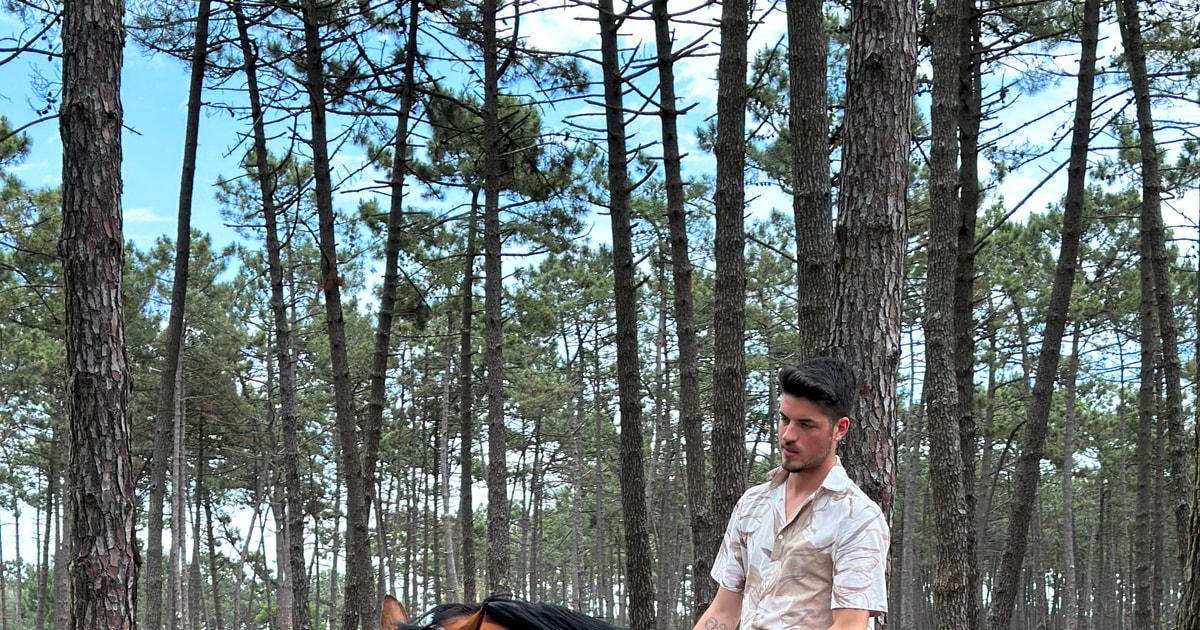 Aveiro: Horse Riding Experience with Instructor | GetYourGuide