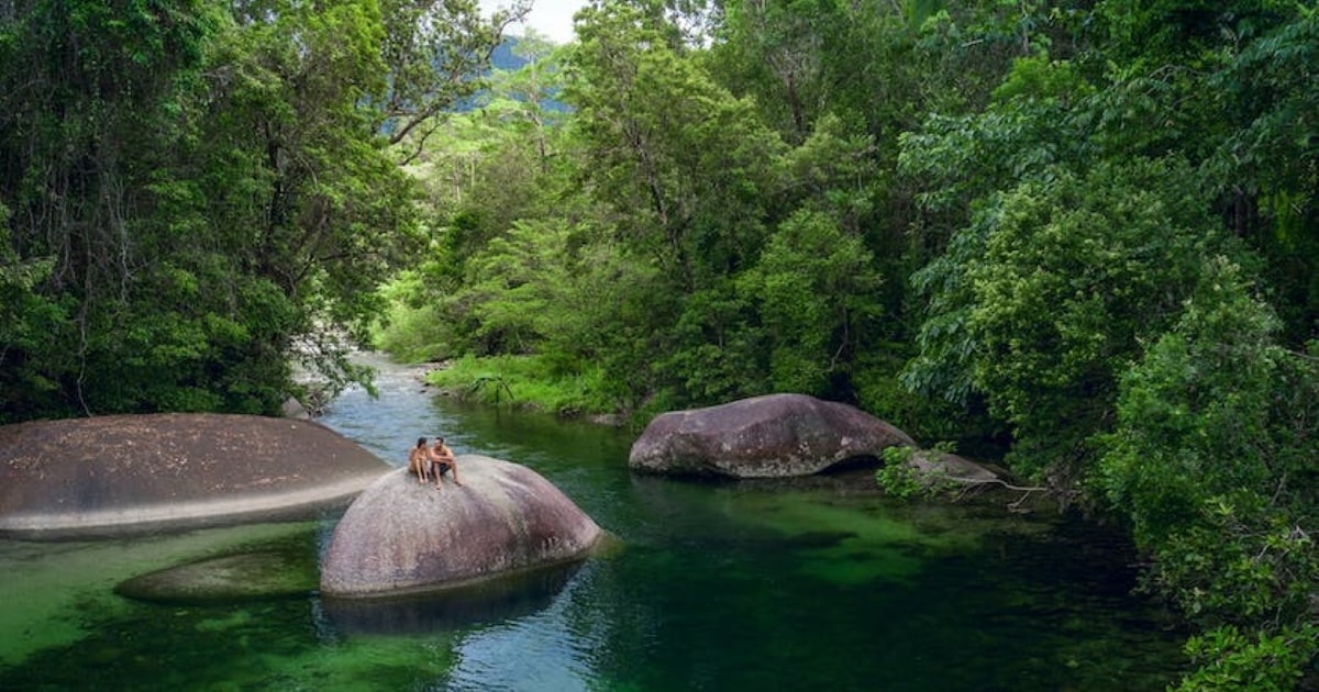 Tur 1 - Aborijin Cassowary Macerası ve Şelaleler Turu | GetYourGuide