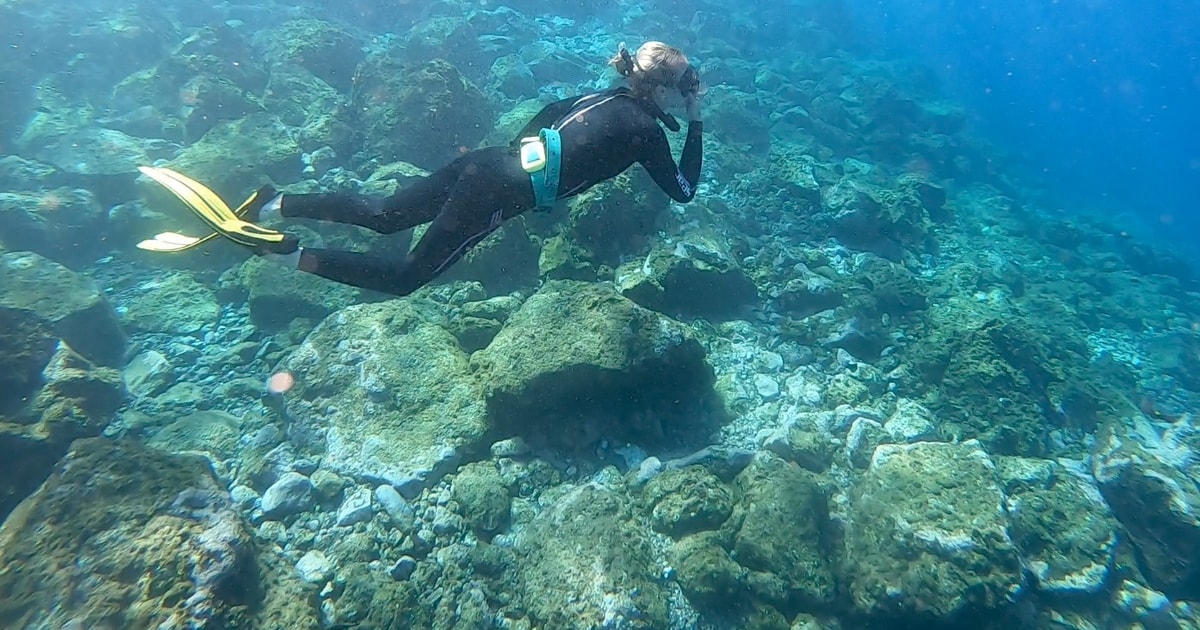 Tenerife : Snorkeling underwater with freediving Instructor | GetYourGuide
