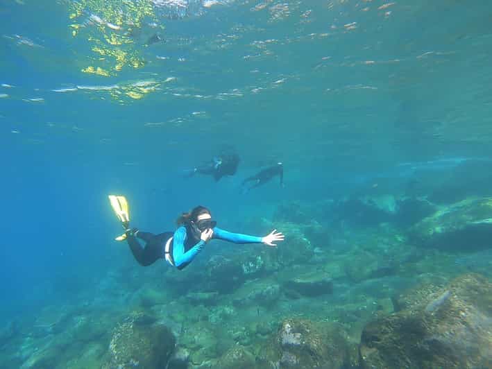 Tenerife : Plongée en apnée sous marine avec moniteur d'apnée | GetYourGuide