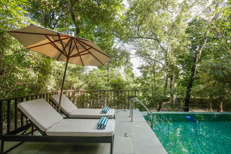 Luxury Chitwan Tour with 5 star accommodation | GetYourGuide