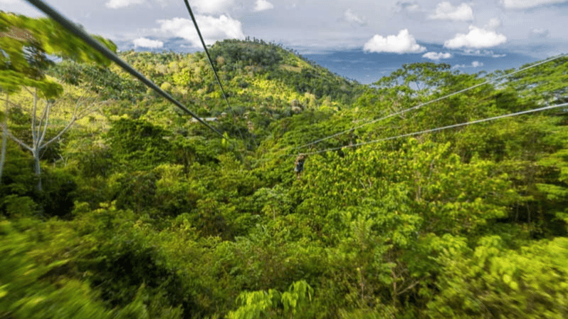 Rainforest Ziplining Adventure | GetYourGuide