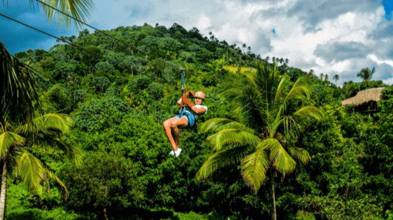 Rainforest Ziplining Adventure | GetYourGuide