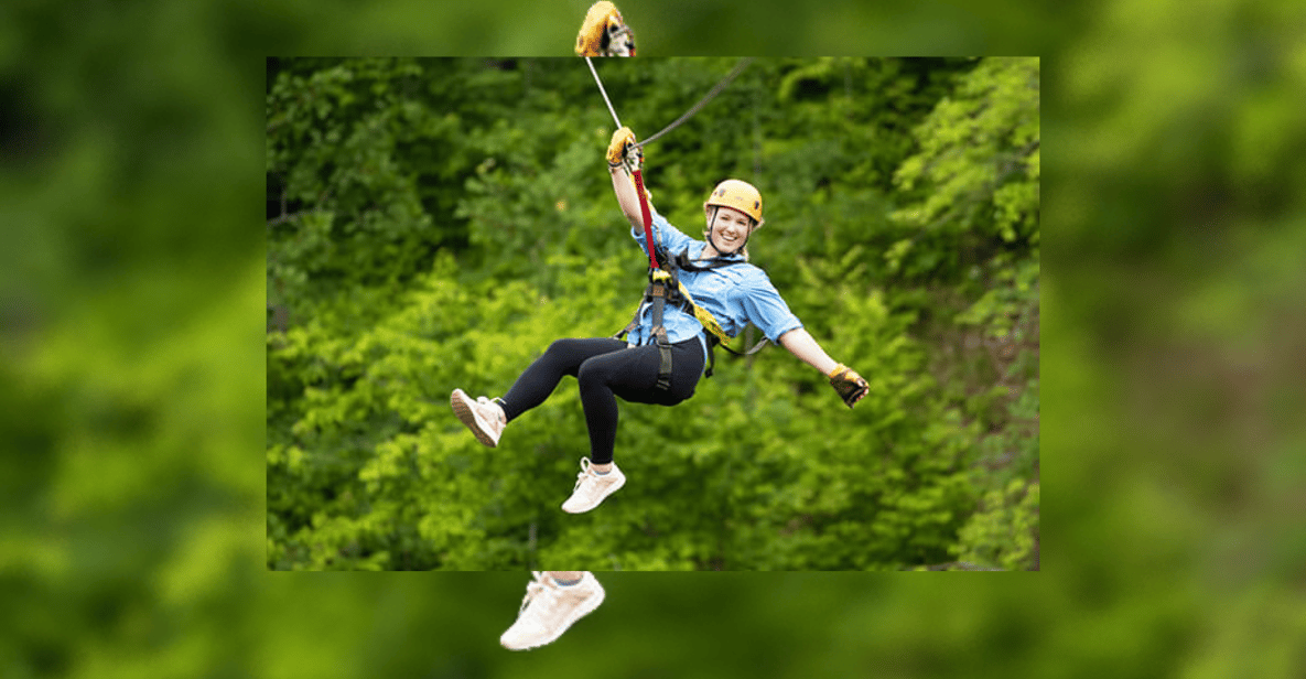 Aventure en tyrolienne dans la forêt tropicale | GetYourGuide