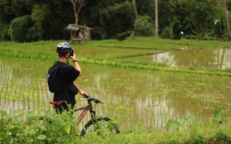Ubud: Paseo en bici por la tarde con fotógrafo y almuerzo | GetYourGuide