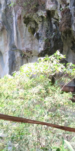 From Manila: 4-Day Sagada and Banaue Rice Terraces Tour | GetYourGuide