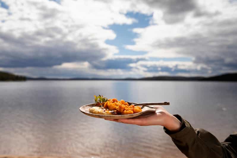 Wild Food & Foraging Hike with Open Fire Lunch in Ivalo | GetYourGuide