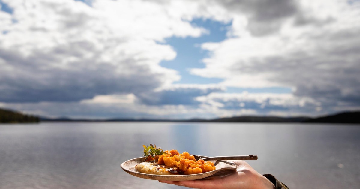 Wild Food & Foraging Hike with Open Fire Lunch in Ivalo | GetYourGuide