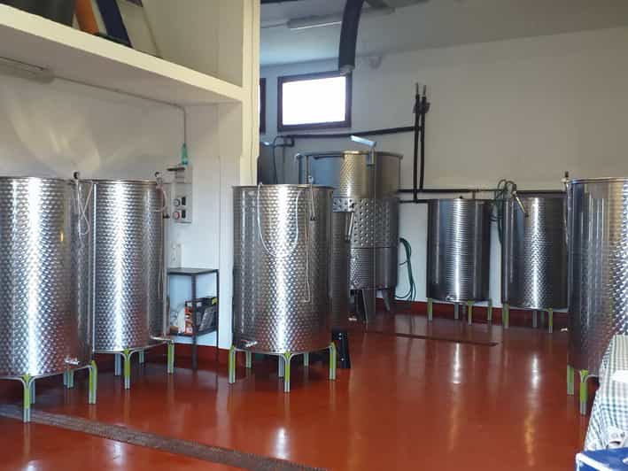 Sardinia: Dorgali Winery Tour with Tasting and Local Guide | GetYourGuide