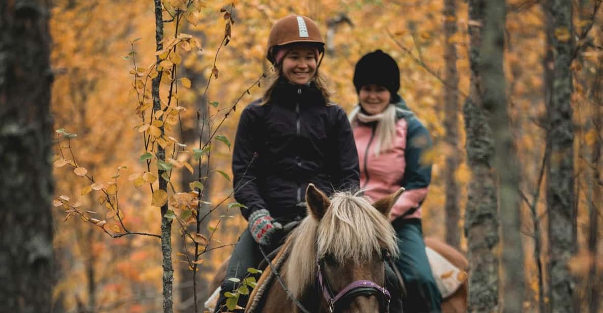Levi: On the paths of Pine Forest – trail riding trip | GetYourGuide