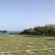 Chania Battle of Crete Private Tour: WW2 Military History | GetYourGuide