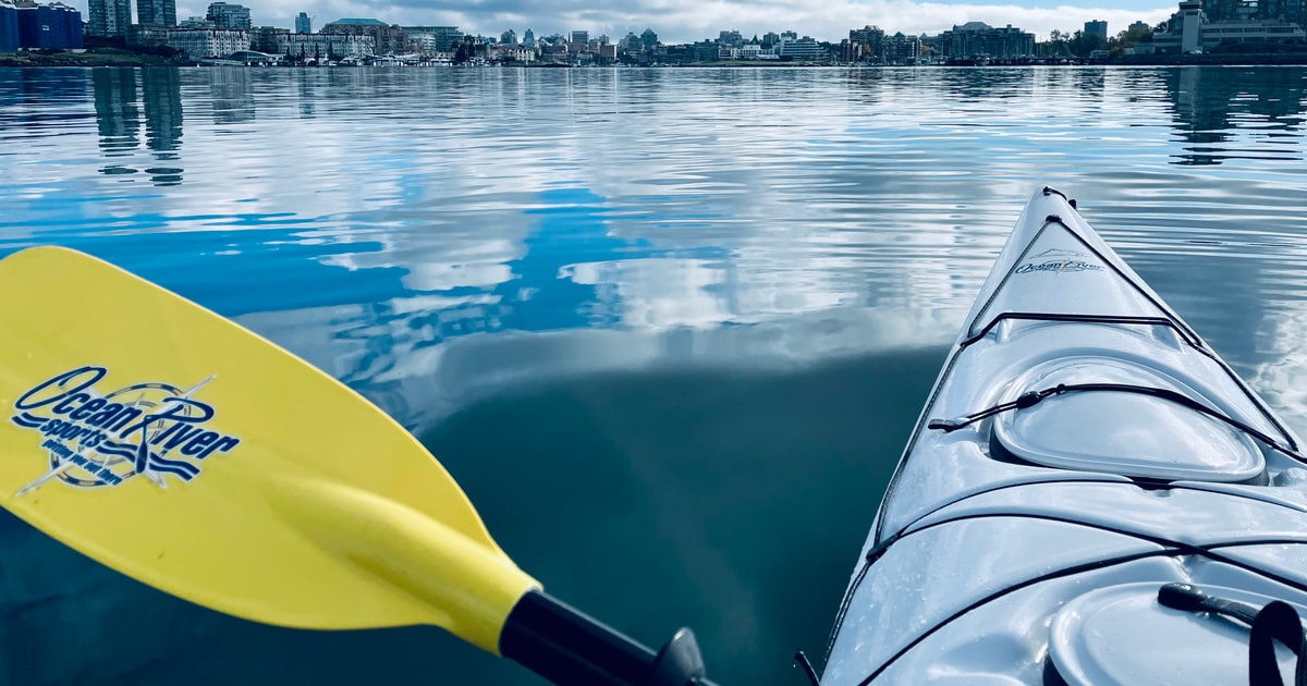 Victoria: Kayak Harbour Tour | GetYourGuide