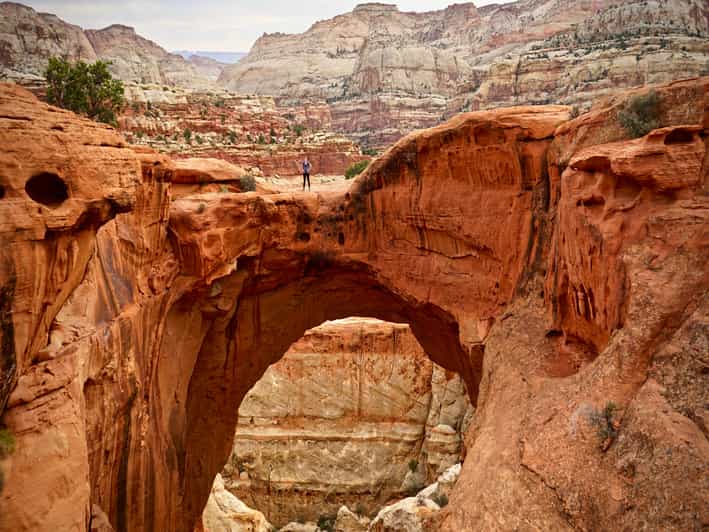 Capitol Reef National Park: Selbstgeführte Audio-Tour | GetYourGuide