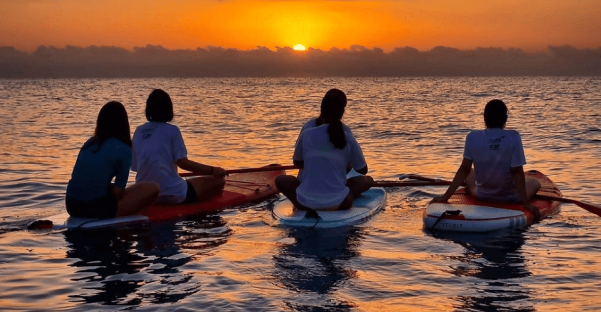 Xeraco: Private Sunrise Kayak of SUP Tour | GetYourGuide