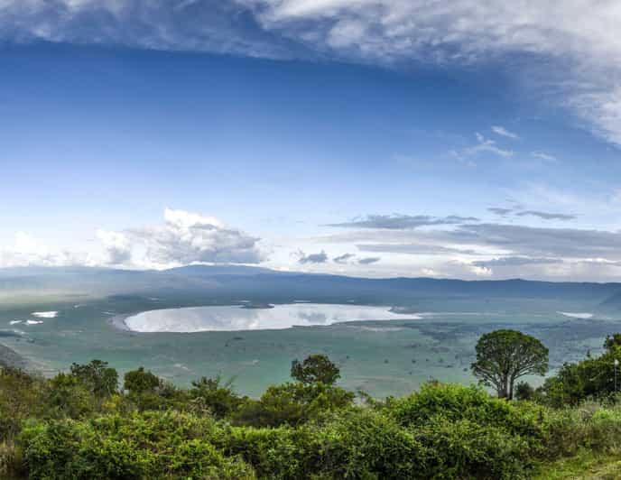 Arusha: Ngorongoro Crater, Manyara Wildlife Exploration Tour | GetYourGuide