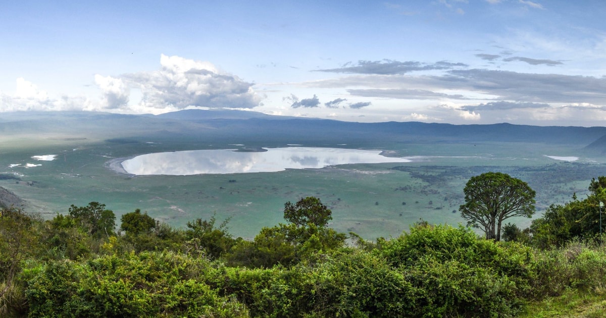 Safari di 6 giorni nei parchi Big Five della Tanzania settentrionale ...