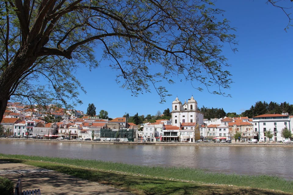 Private Tour to Alcácer, Comporta, Setúbal and Palmela | GetYourGuide