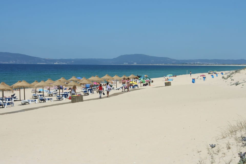 Private Tour to Alcácer, Comporta, Setúbal and Palmela | GetYourGuide