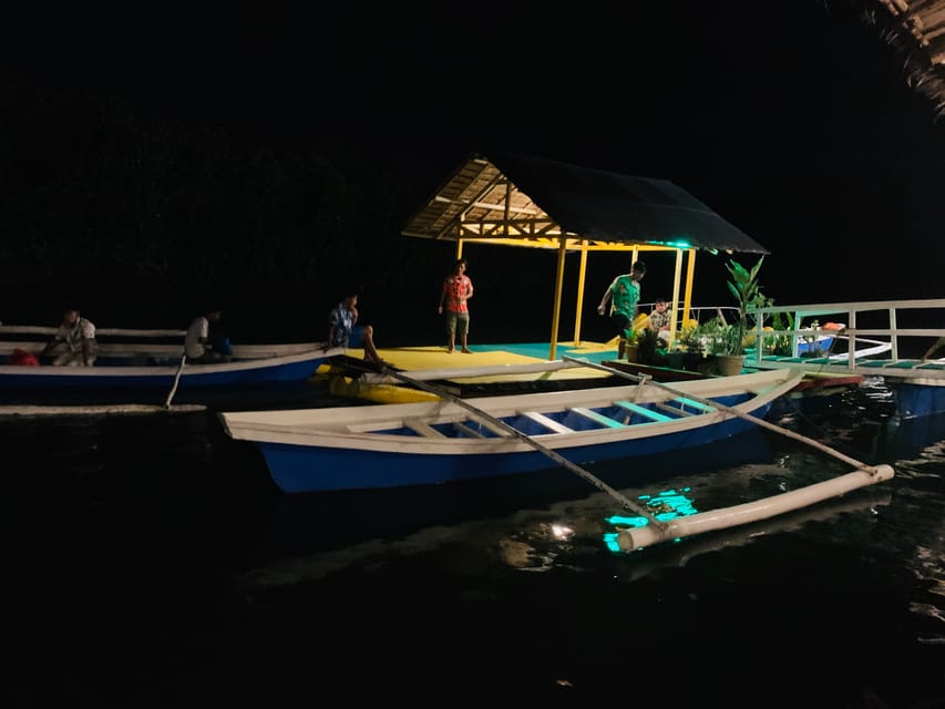 Puerto Princesa: Jungle Firefly Watching Boat Tour & Dinner | GetYourGuide