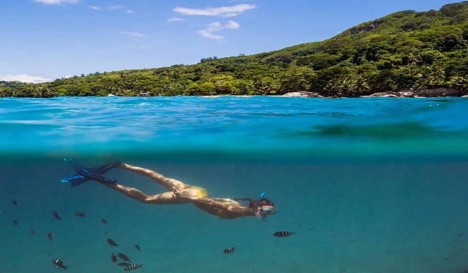 Mahe Island: Zip Lining and Marine Park Snorkeling Excursion | GetYourGuide