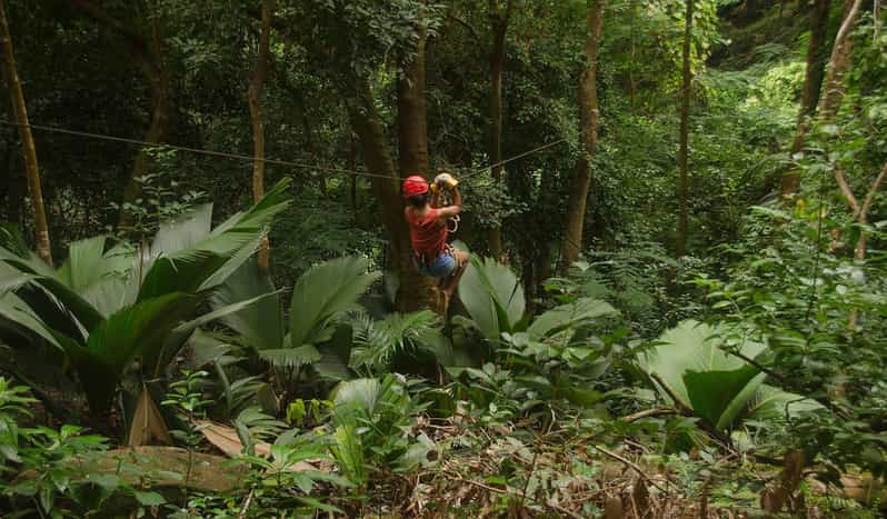 Mahe Island: Zip Lining and Marine Park Snorkeling Excursion | GetYourGuide