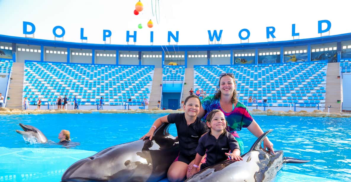 Hurghada: Dolphin Show with Walrus and Sea Lion Viewing | GetYourGuide