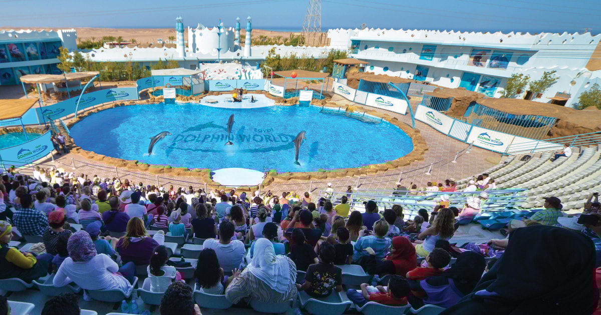 Hurghada: Dolphin World Show med hvalrosser og afhentning | GetYourGuide