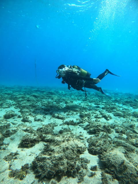 Lanzarote: Intro to Diving Experience for Beginners | GetYourGuide