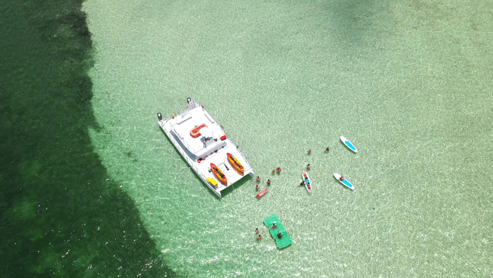 Key West Sandbar Excursion & Dolphin Tour Includes Beer Wine | GetYourGuide