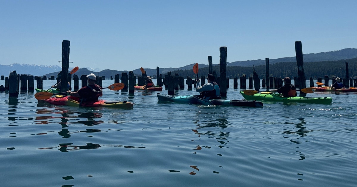 Flathead Lake: Somers Bay Kayak Tour | GetYourGuide
