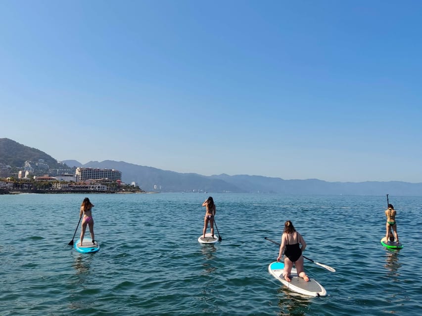 Puerto Vallarta: Guided SUP Board Tour with Digital Photos | GetYourGuide