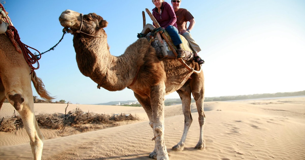 From Agadir: Camel Ride and Flamingo Trek | GetYourGuide