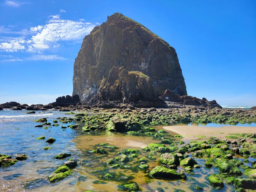 From Portland: Oregon Coast Adventure Day Tour with Pickup | GetYourGuide