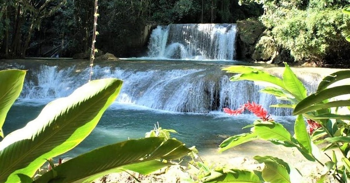 Negril: Black River Safari and YS Falls Tour with Lunch | GetYourGuide
