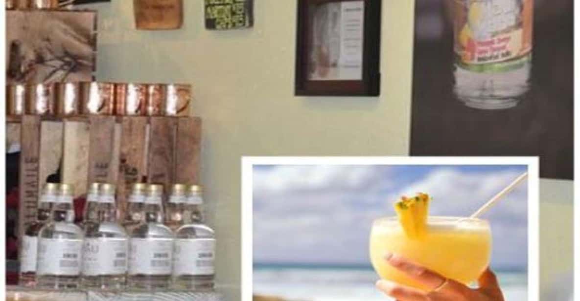 Maui: Valle de Iao, Plantación Tropical y Excursión a la Granja de ...