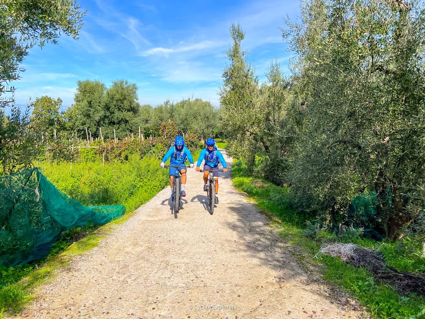 Sorrento: E-bike Oil & Lemon Tour with Tasting | GetYourGuide