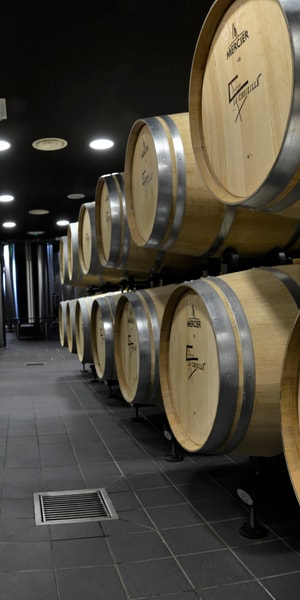 Saint-Émilion: Grand Cru Classé Winery Visit and Tasting | GetYourGuide