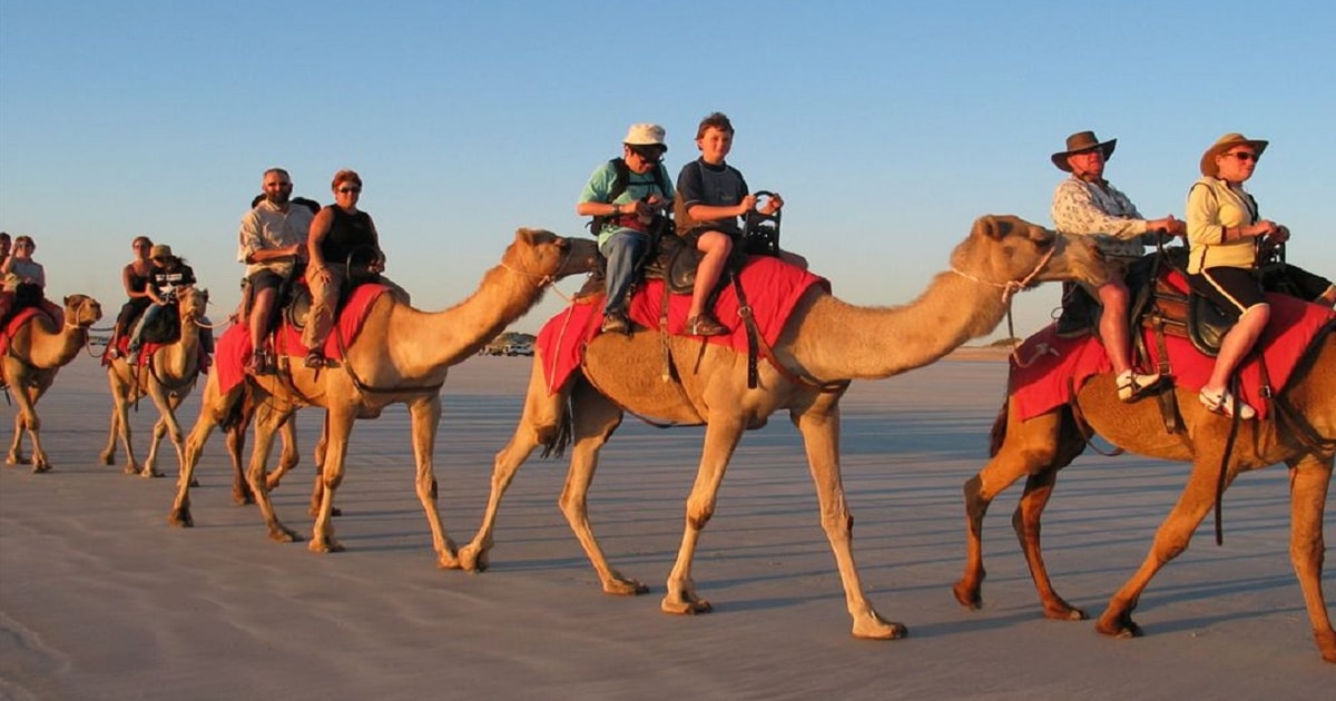 Luxor: schilderachtige rit op kameel of paard | GetYourGuide