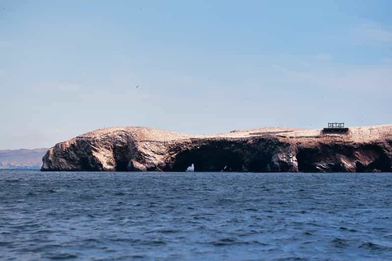 From Lima: Ballestas Islands, Huacachina Oasis and Vineyards | GetYourGuide