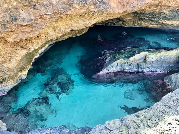 Aruba: One Happy Island Road Trip Route via Mobiele App | GetYourGuide