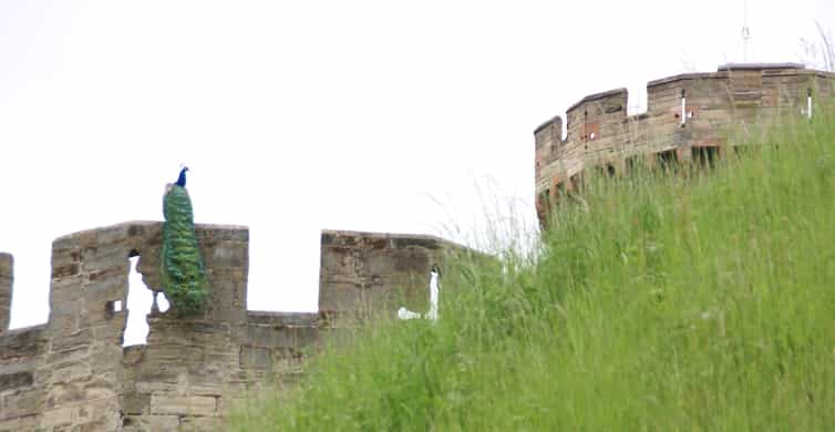 From London: Warwick Castle Entry Ticket & Day Trip by Train | GetYourGuide