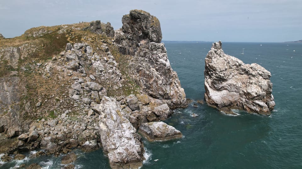 Dublin: Howth Coast und Irlands Auge Bootstour | GetYourGuide