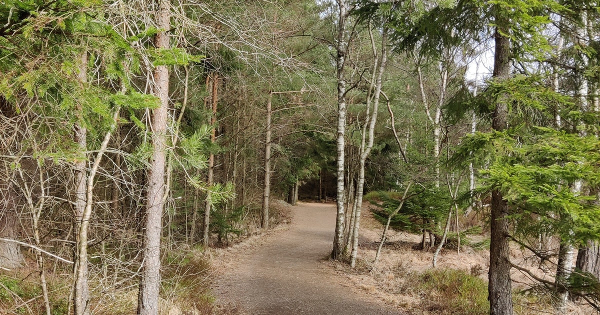 From Gothenburg: Vättlefjäll nature area Half-Day Trip | GetYourGuide